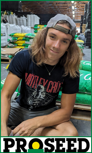 Employees :: PROSEED