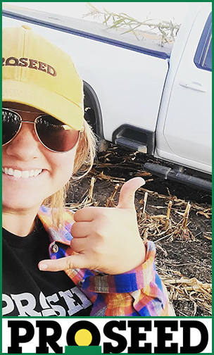 Employees :: PROSEED